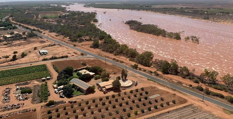 During a cyclone - Department of Fire and Emergency Services